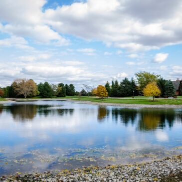Healing the Shadow - Ross Bishop - Shaman, Spiritual Teacher, Healer ...
